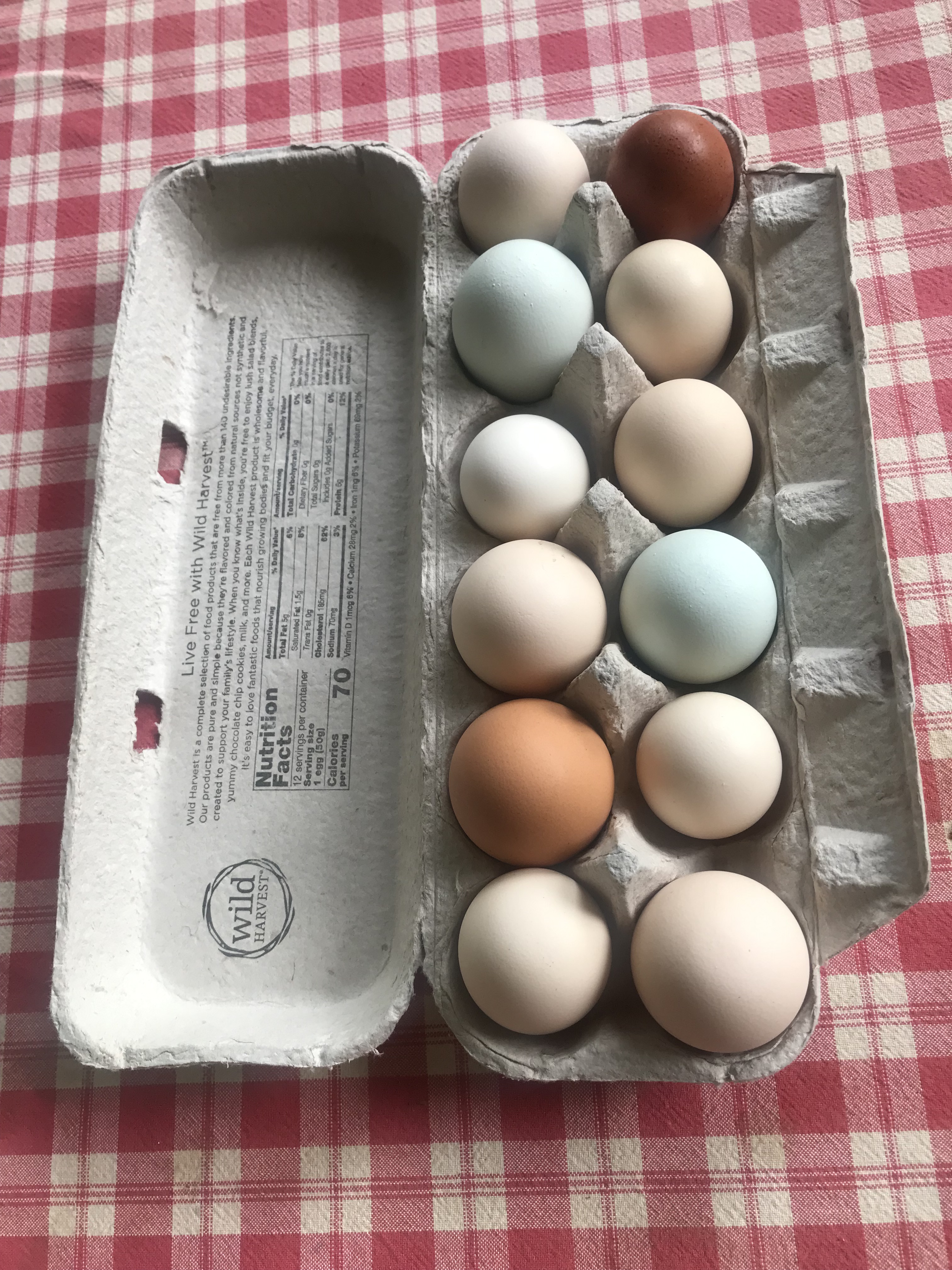 Order Eggs! – Arnosti Farm Connections